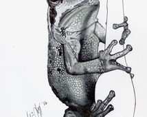 Unique frog drawing related items | Etsy