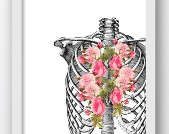 Skeleton rib cage | Etsy