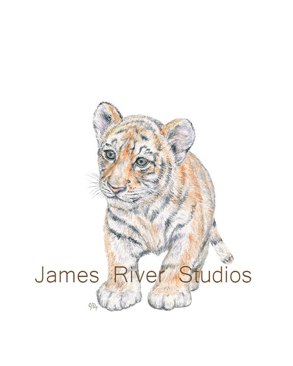 Tiger Art Tiger Painting Tiger Print. Tiger Watercolor