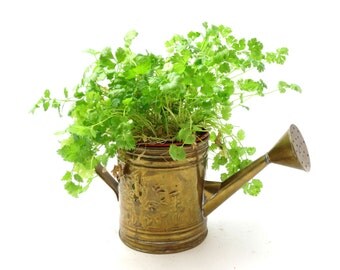 Vintage watering can | Etsy