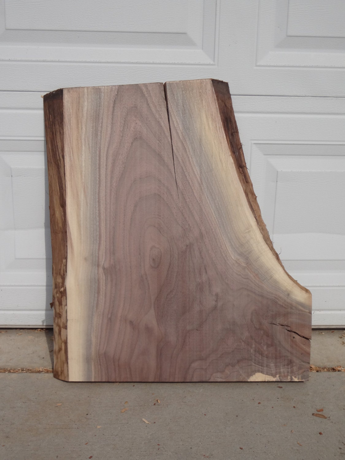 Live Edge Black Walnut Slab 12