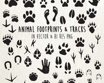 Animal tracks | Etsy