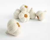 The most realistic toy fruits and veggies in the world by MyFruit