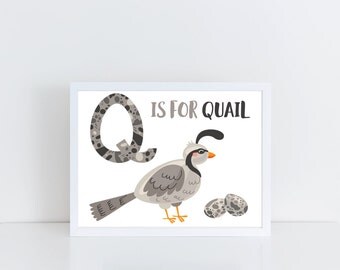 Q is for quail | Etsy