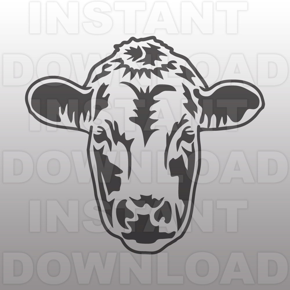 Angus Bull Head SVG FileAngus SVG FileCattle SVGBull