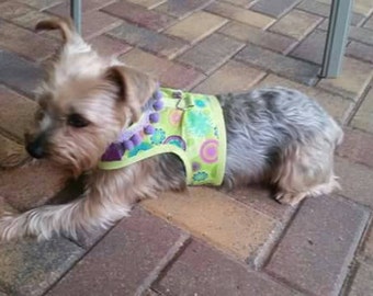 Yorkie harness | Etsy
