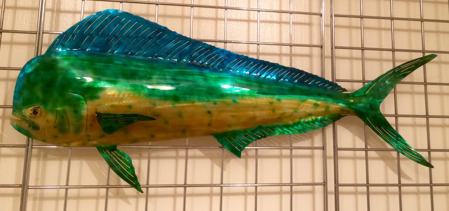 Dolphin Fish Mahi Mahi
