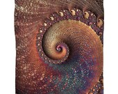 Susan Maxwell Schmidt Fine Art by SMSFineArt on Etsy