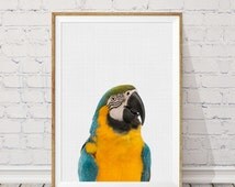 Unique parrot poster related items | Etsy