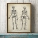 Anatomy print anatomy poster human skeleton print human