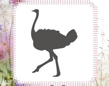 Unique ostrich decal related items | Etsy