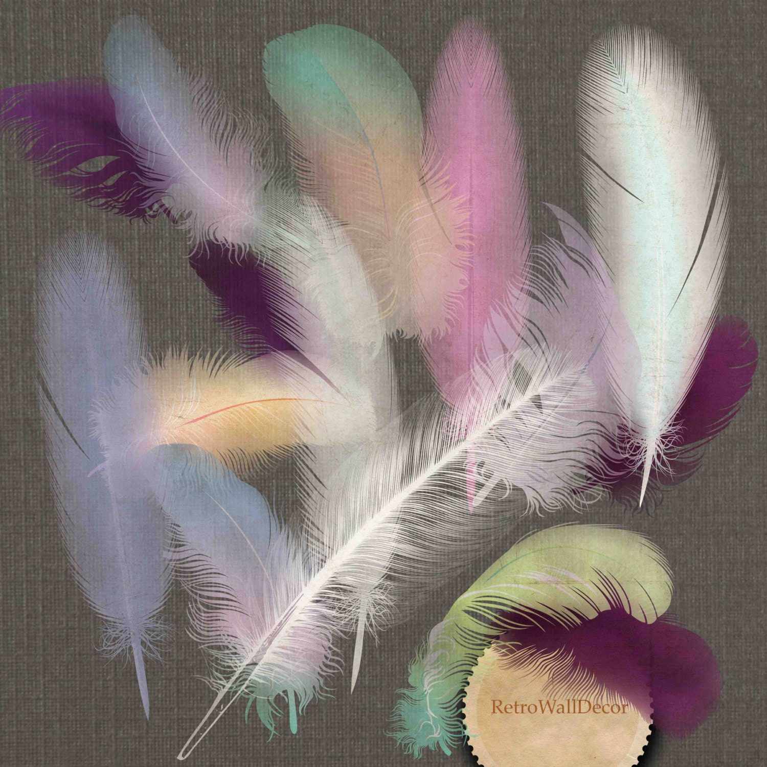 Birds Feathers Pastel Feather Clip Art by RetroWallDecor