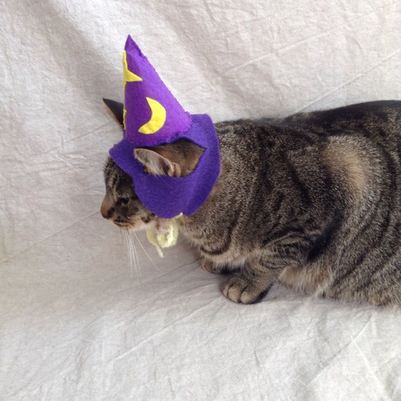 Wizard hat for cats Glow in the dark