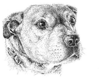 Custom pet drawing | Etsy