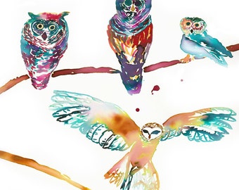 Unique colorful bird art related items | Etsy