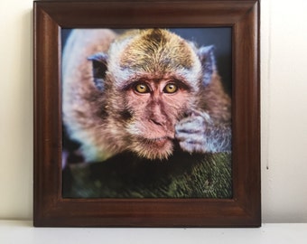 Monkey picture frame | Etsy