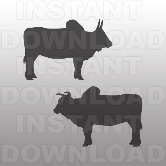 Zebu Profile SVG FileMiniature Zebu SVG FileCattle SVG
