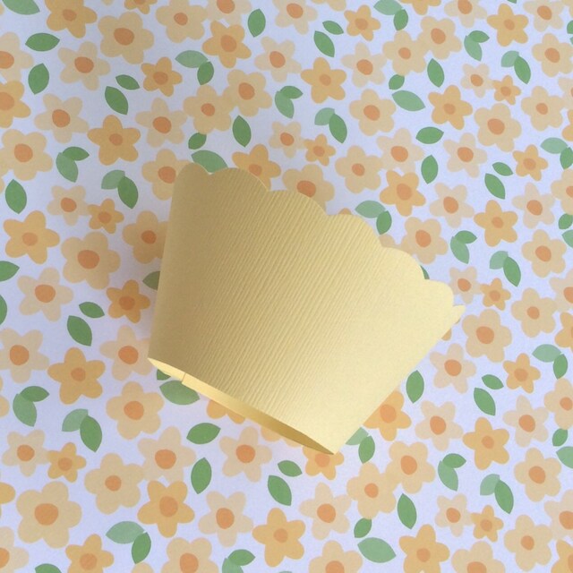 Custom Cupcake Wrappers & Party Supplies by WellDressedCupcakes