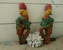 Popular items for parrot head gifts on Etsy