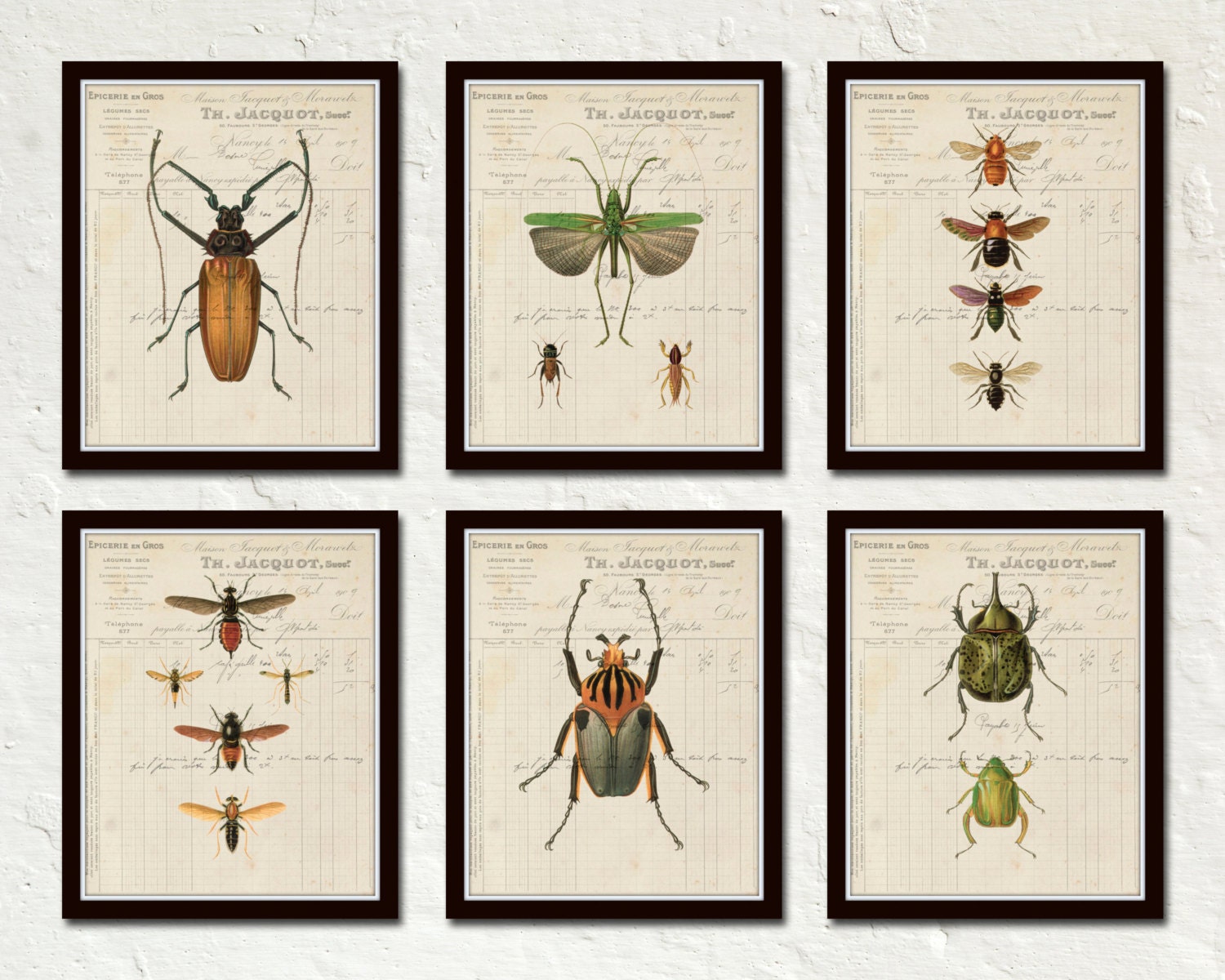 French Insect Study Print Set No. 1 Print Sets by BelleMaisonArt