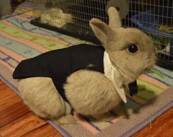 Pet rabbit clothing | Etsy