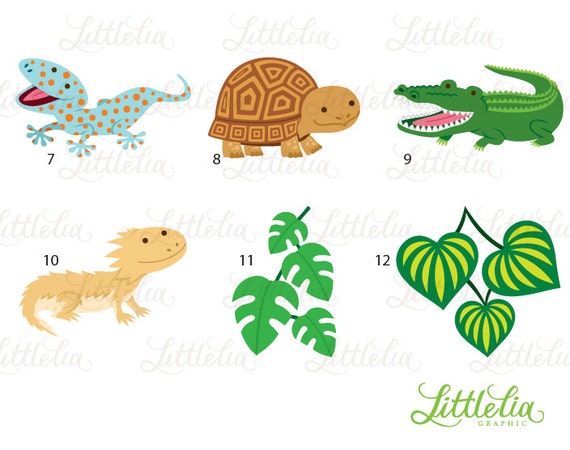 Reptile clipart reptile cute 16019 by LittleLiaGraphic on Etsy