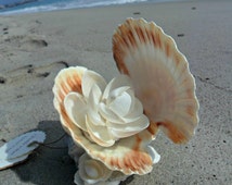 Unique shell arrangements related items | Etsy