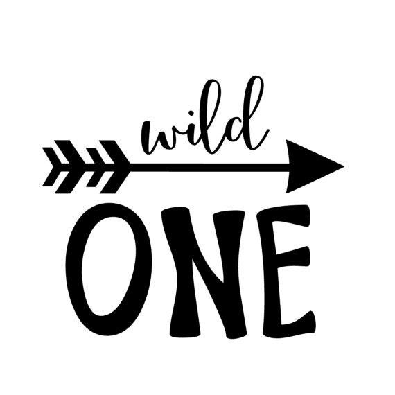 Wild ONE Iron On for Shirt Wild One Birthday First Birthday