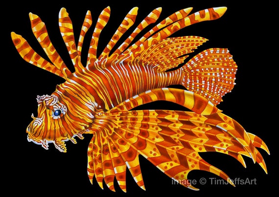 Lionfish Drawings To Color