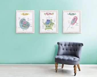 Microbiology poster | Etsy