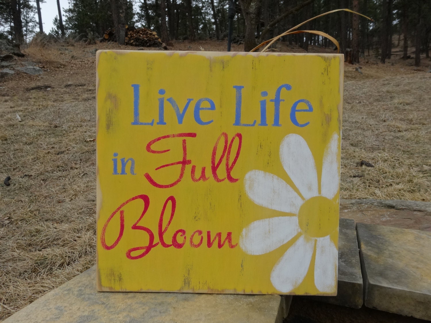 Live Life In Full Bloom Sign Hand Painted By MyThoughtsExactly6