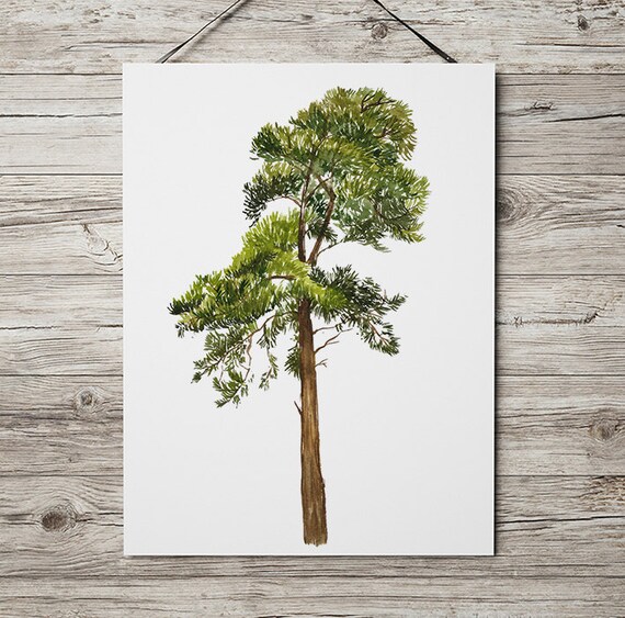 Pine tree poster Tree print Pine print Watercolor decor ACW928