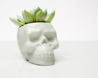 Unique skull vase related items | Etsy