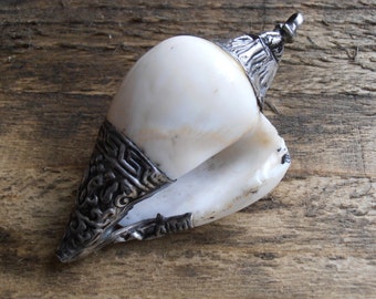 Items similar to Shell Necklace Silver - Conch Shell Necklace - Shell ...