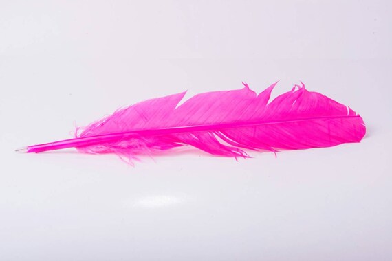 Bright Hot Pink Quill Pen