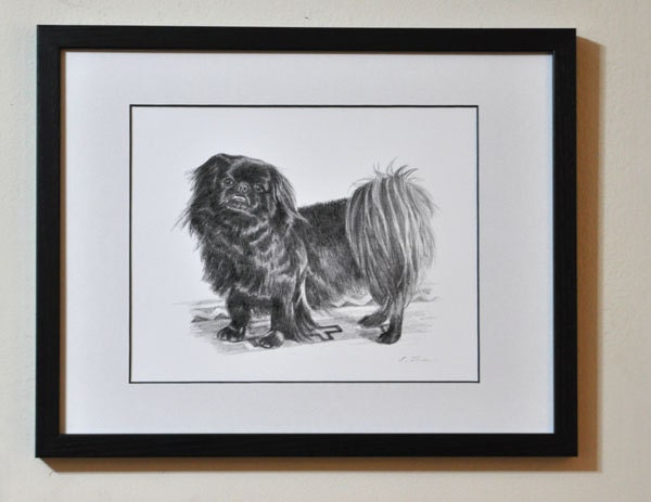 Pekingese Dog Art Black Peke Print Pekingese Pencil Drawing