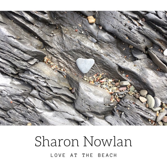Pebble Art by artist Sharon Nowlan. Art for the por PebbleArt