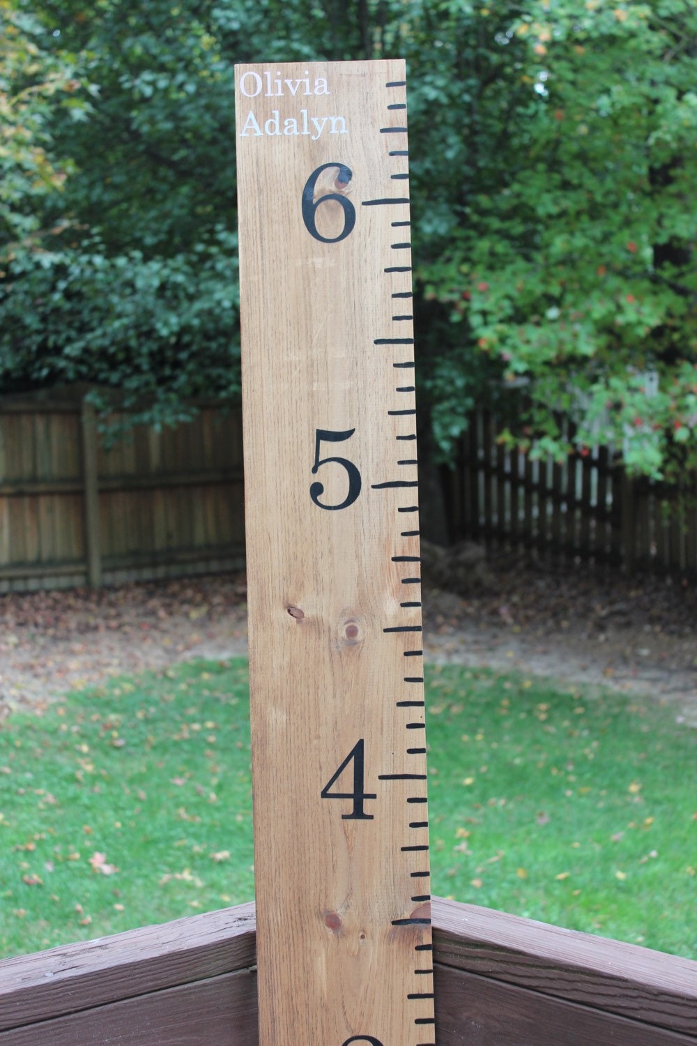 Giant Wall Ruler great for kids