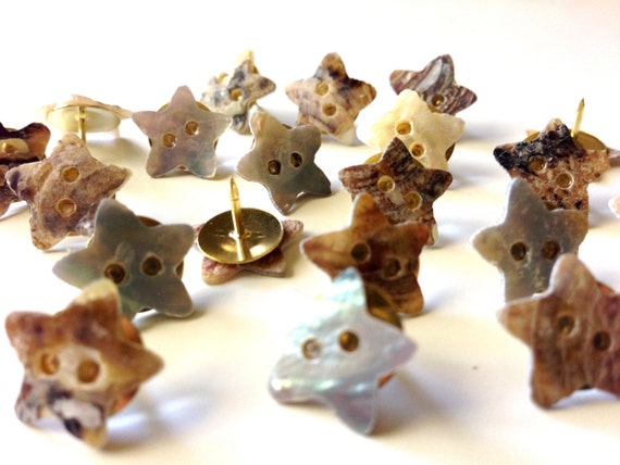 Star push pins real shell cubicle decor pearl thumb tacks
