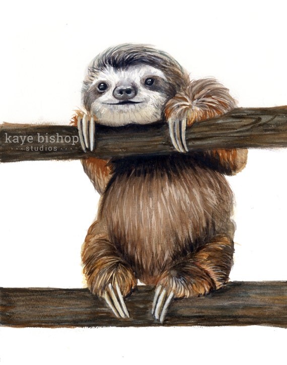 Sloth Watercolor Painting Animal Art Sloth Painting Sloth