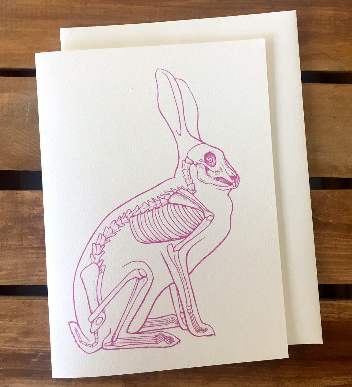 Science Easter Card Rabbit Skeleton Bunny Skeleton by OXHIP