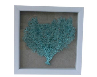 Items similar to Sea Fan Shadow Box on Etsy