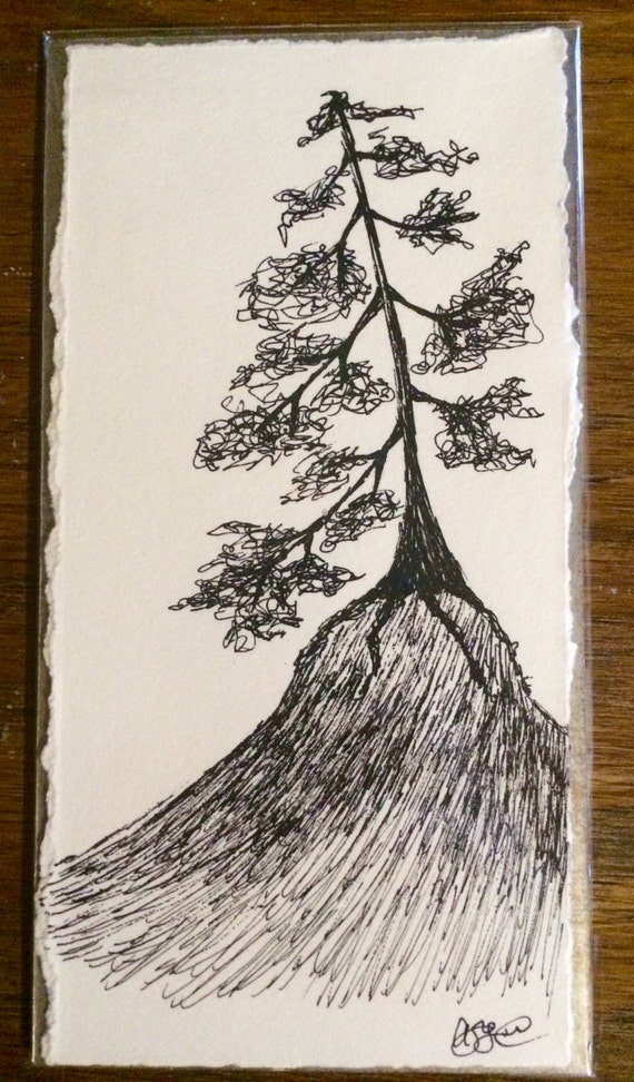 Cypress Tree Original Pen and Ink Drawing 3.5 x by AmbientMedia