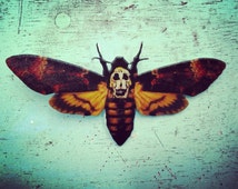 Popular items for death head moth on Etsy