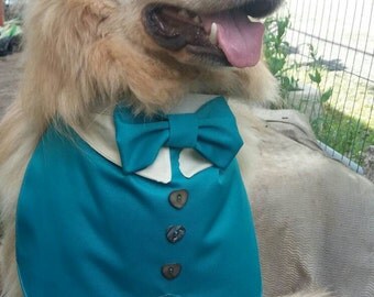 Dog ring bearer | Etsy