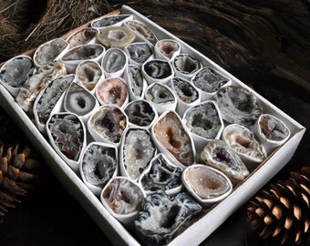 Amethyst geode | Etsy