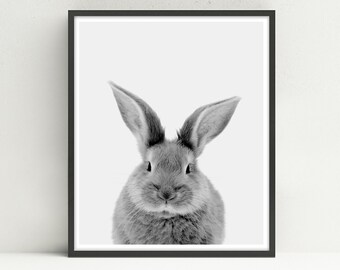 Bunny rabbit print | Etsy