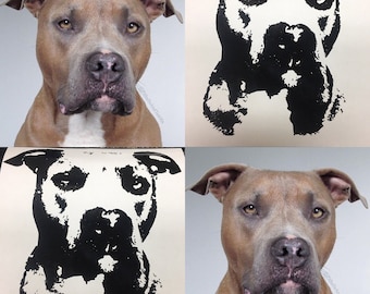 Pit bull decal | Etsy