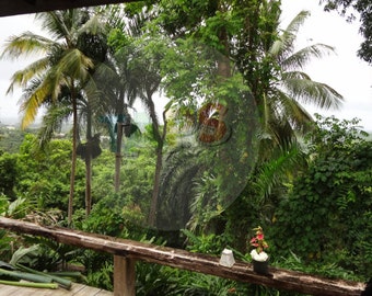 Wonder wall decal | Etsy