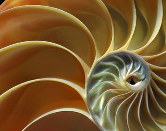 Print Fantasy Celestial Enchanted Blue Moon Sun Stars by aimeesart